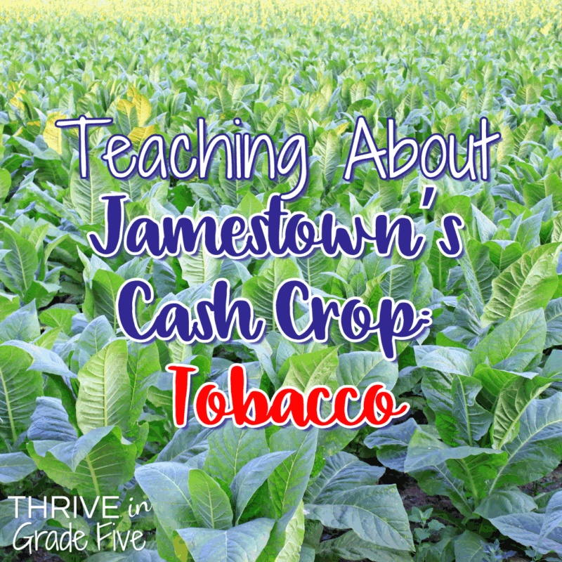 How to Teach About Jamestown Settlement - Thrive in Grade Five